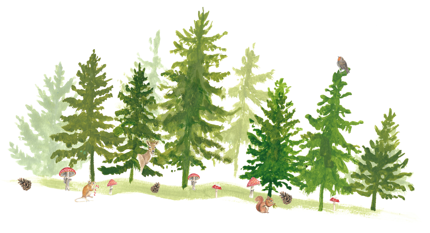 🎄 Unwrap the Magic: Holdsworth Chocolates’ Christmas Collection 2025